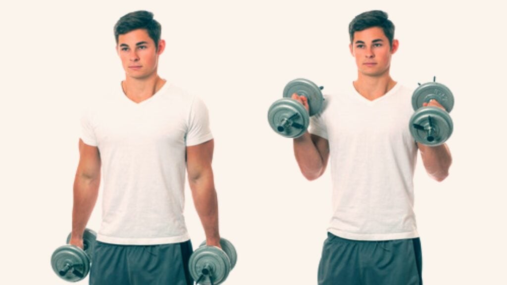 How to do Hammer Curls - 7 Variations - Illustrated Guide - Gym Geek