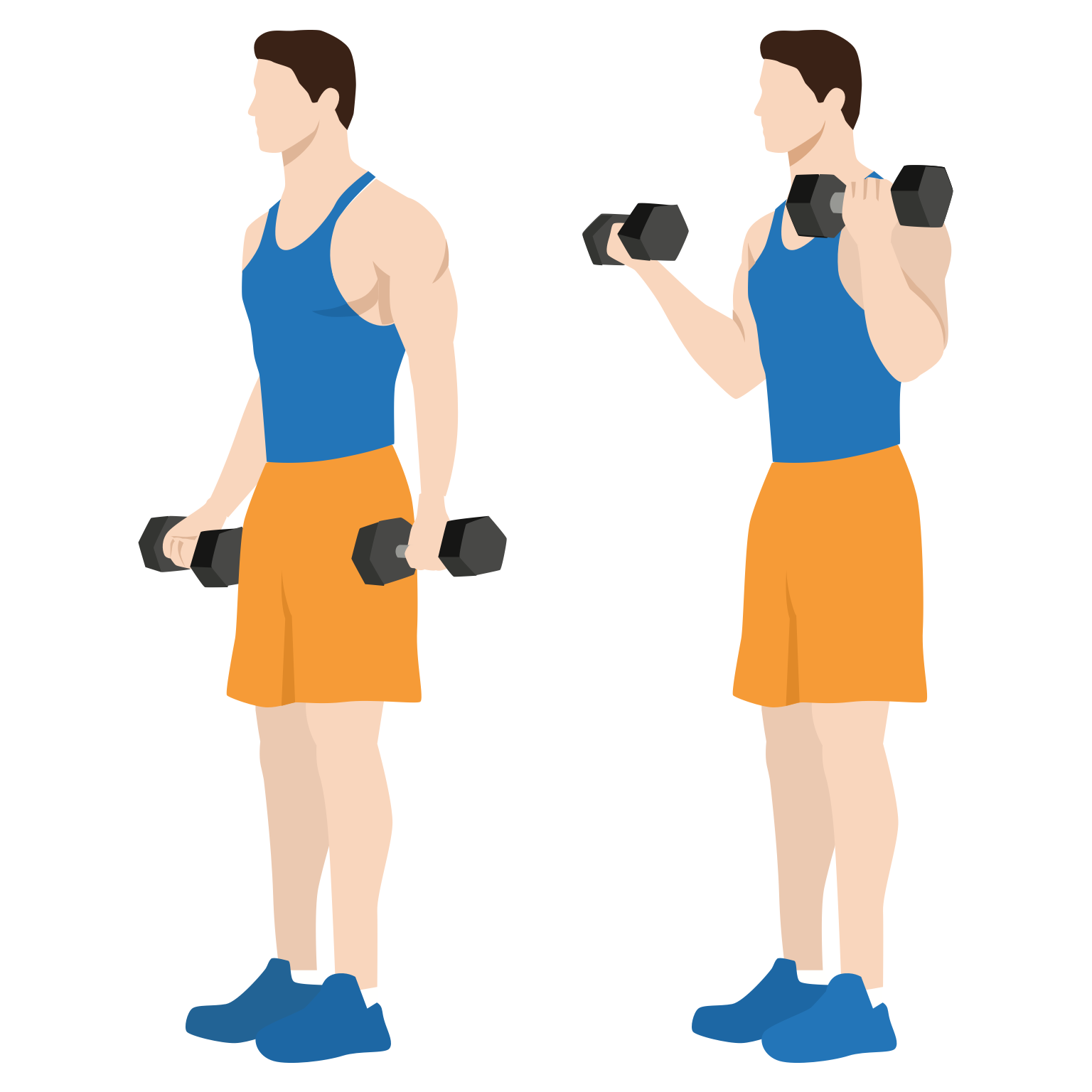 How To Do Hammer Curls 7 Variations Illustrated Guide Gym Geek