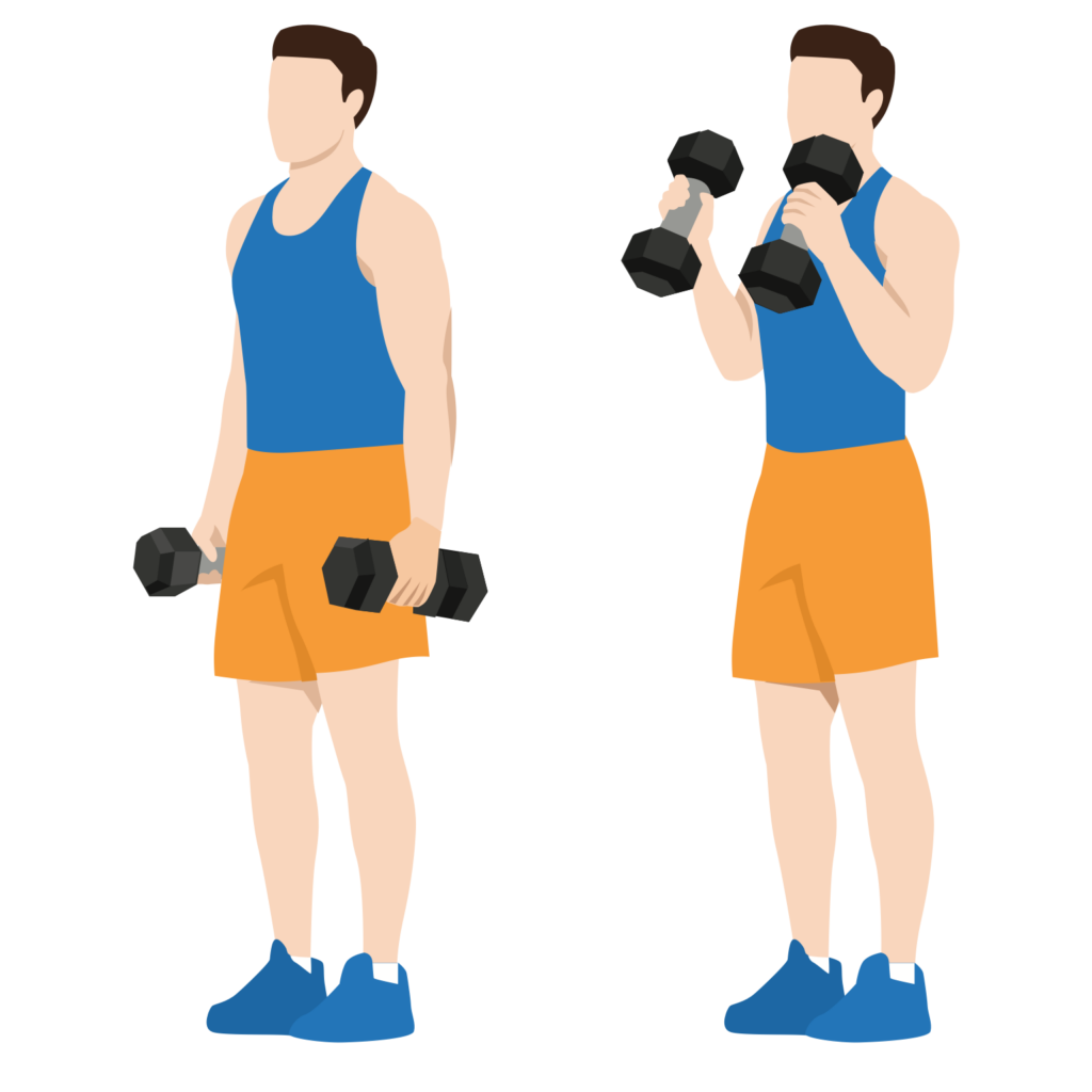 How To Do Hammer Curls Including 5 Variations Gym Geek
