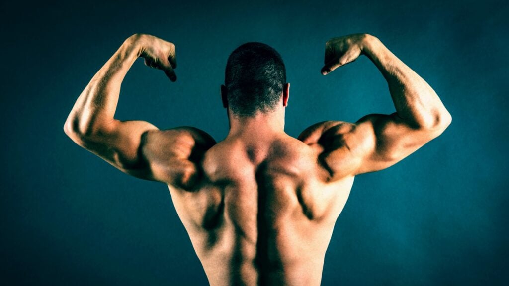 Find the Best Workout Routine For You - Gym Geek