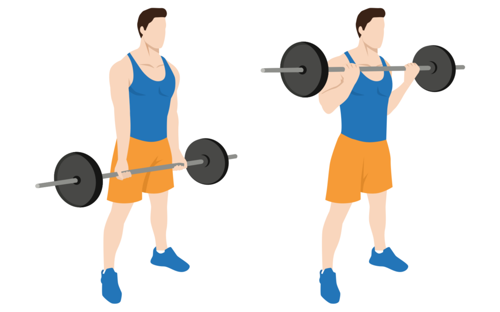 Bicep Curls and Exercises - 34 Variations - Illustrated Guide - Gym Geek