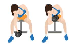 Bicep Curls and Exercises - 34 Variations - Illustrated Guide - Gym Geek
