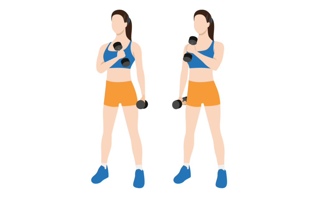 Bicep Curls and Exercises - 34 Variations - Illustrated Guide - Gym Geek