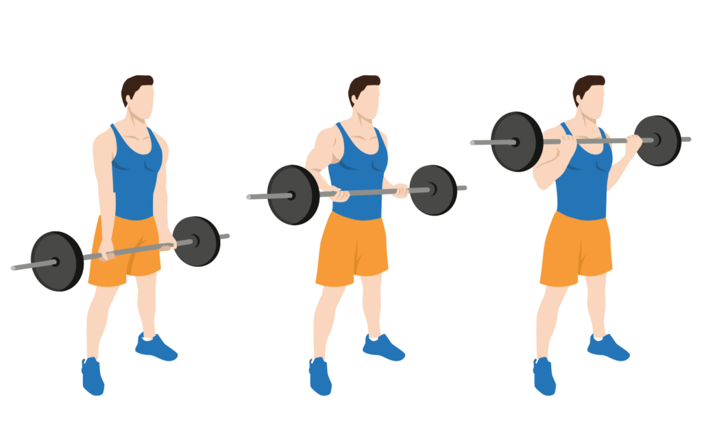 Bicep Curls and Exercises - 34 Variations - Illustrated Guide - Gym Geek