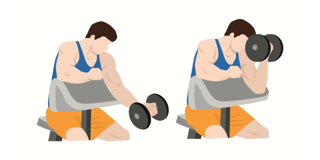 Preacher Curls: Build Huge Biceps With This Isolation Exercise - Gym Geek