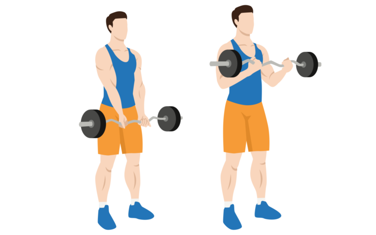 Bicep Curls and Exercises - 34 Variations - Illustrated Guide - Gym Geek