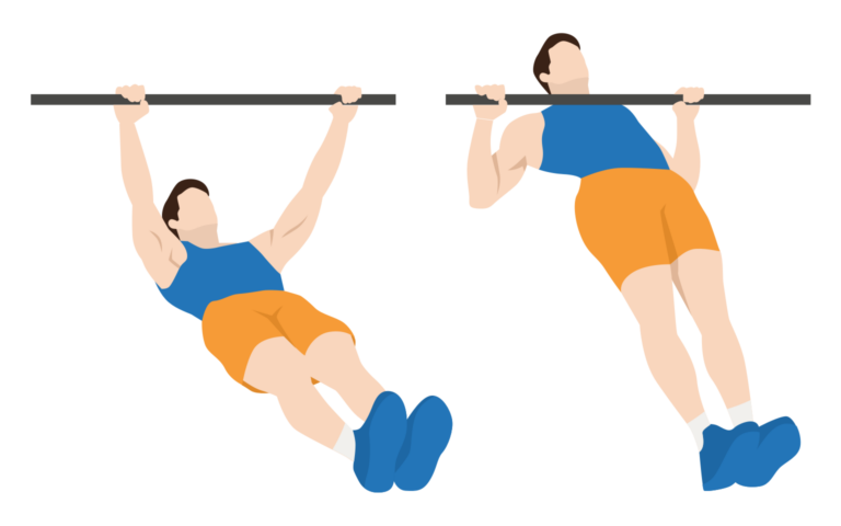 Bicep Curls and Exercises - 34 Variations - Illustrated Guide - Gym Geek