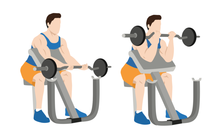 Pull Day Workout - Back, Biceps and Rear Delts Routine - Gym Geek