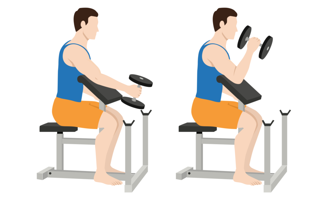 How to do Hammer Curls - 7 Variations - Illustrated Guide - Gym Geek