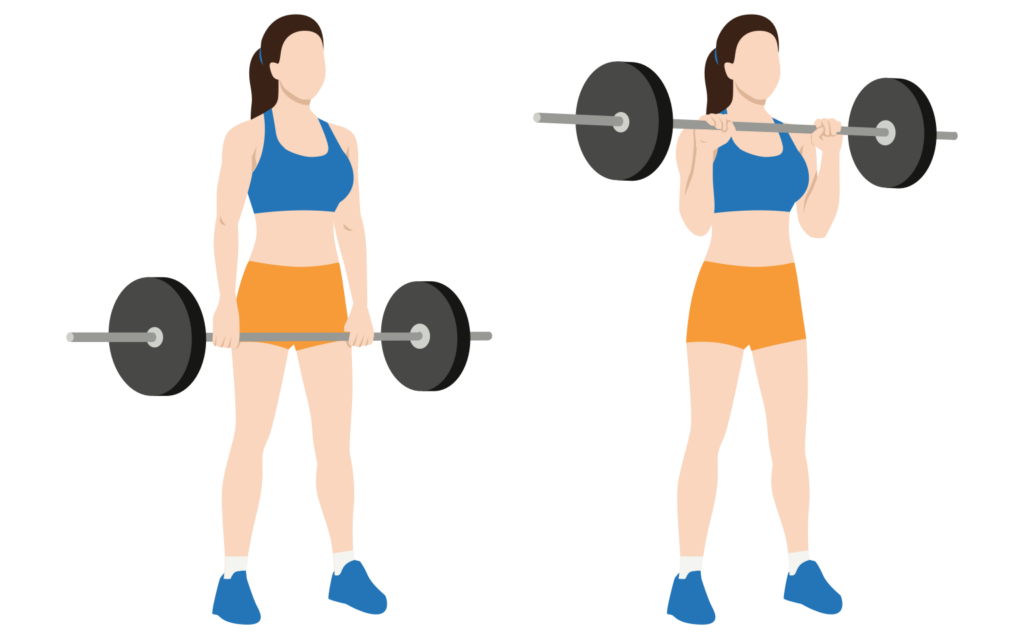Bicep Curls and Exercises - 34 Variations - Illustrated Guide - Gym Geek