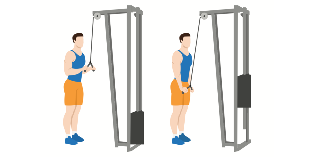 Perfect Your Tricep Extension with These Variations - Gym Geek