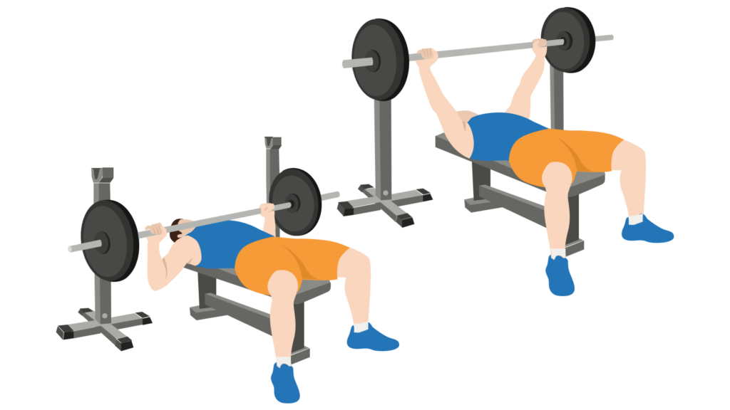 Push Day Workout - Chest, Shoulders and Triceps Routine - Gym Geek