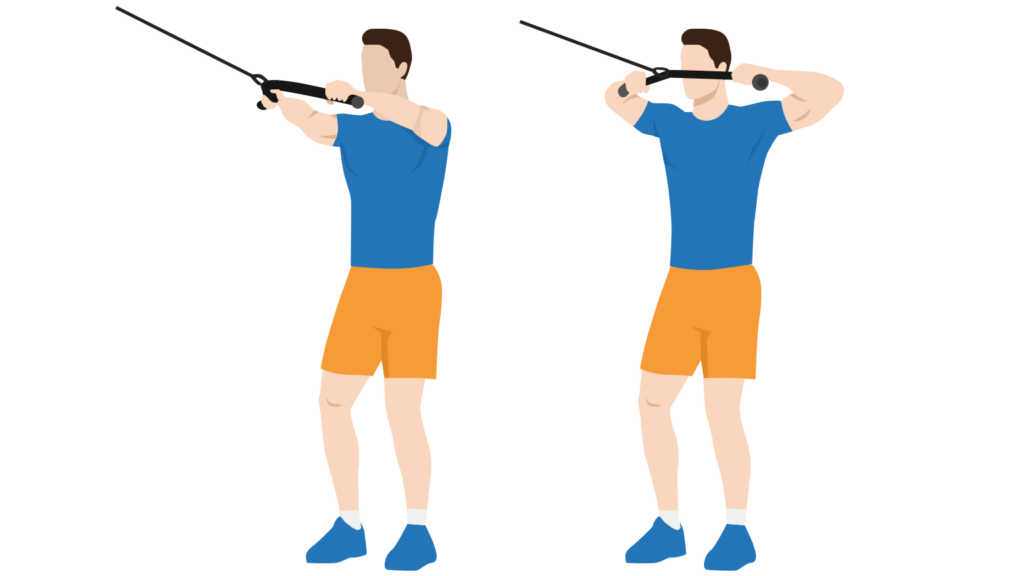 Pull Day Workout - Back, Biceps and Rear Delts Routine - Gym Geek