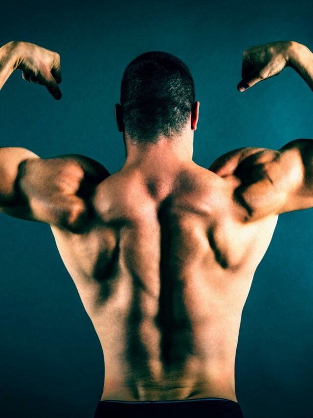 Advanced Back and Biceps Workout - 6 Exercises - Gym Geek