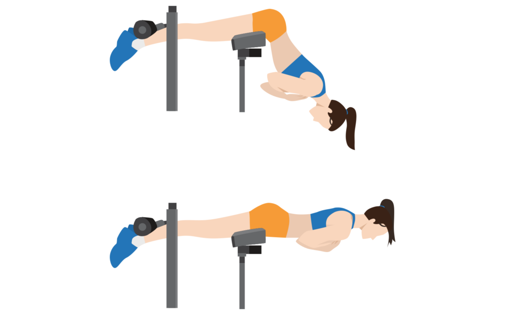 Two Back Day Workout Routines - With and Without Deadlifts - Gym Geek