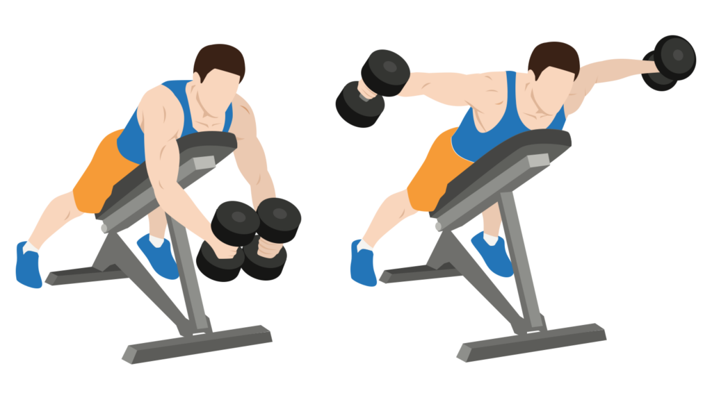 11 Rhomboid Exercises - Rows, Pulls, Flys - Illustrated Guide - Gym Geek