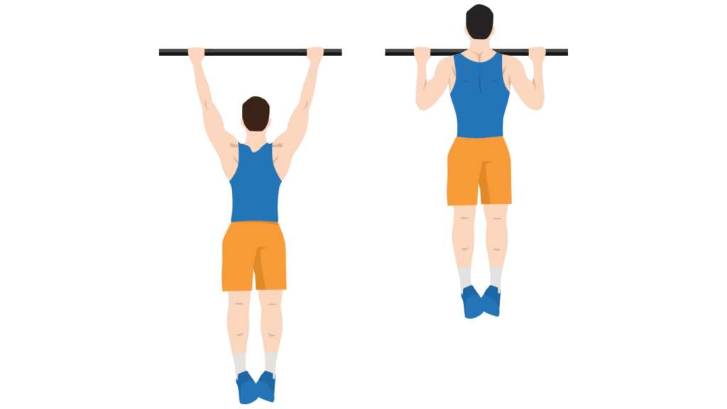 Two Back Day Workout Routines - With and Without Deadlifts - Gym Geek