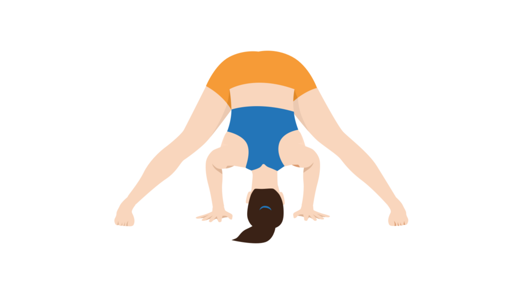 Wide Legged Forward Bend (Prasarita Padottanasana) - Gym Geek