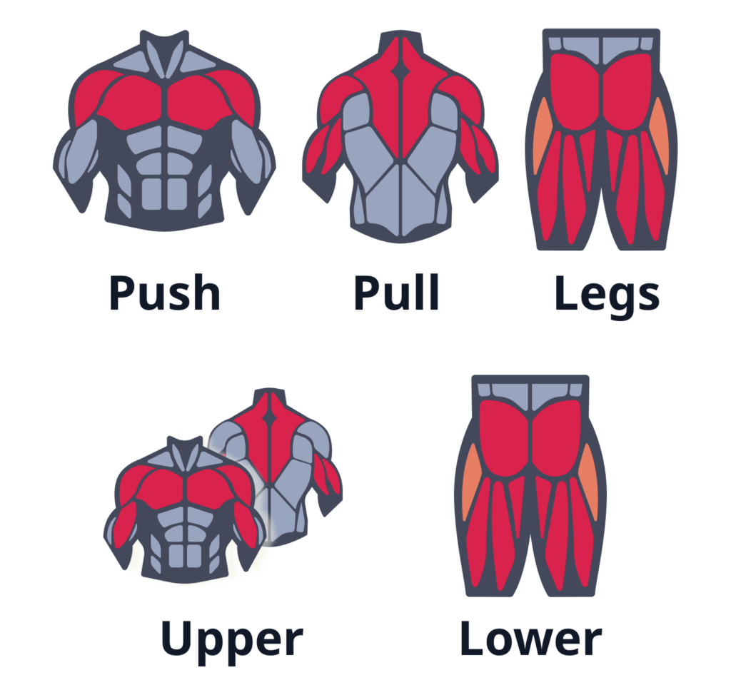 5 Day PPLUL Split (Push, Pull, Legs, Upper, Lower) - Gym Geek