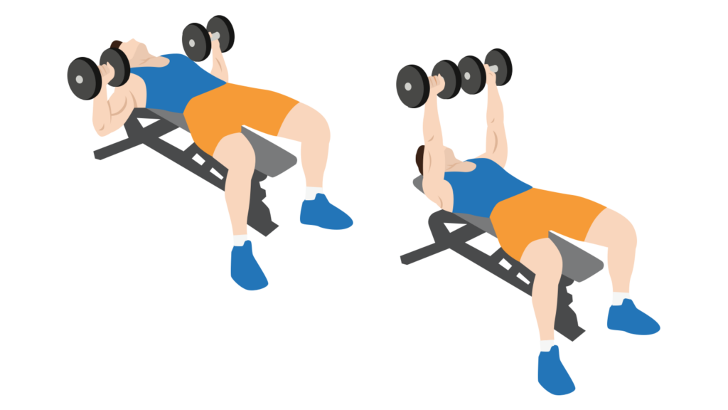 Chest and Tricep Split Workout - 6 Exercises - Gym Geek