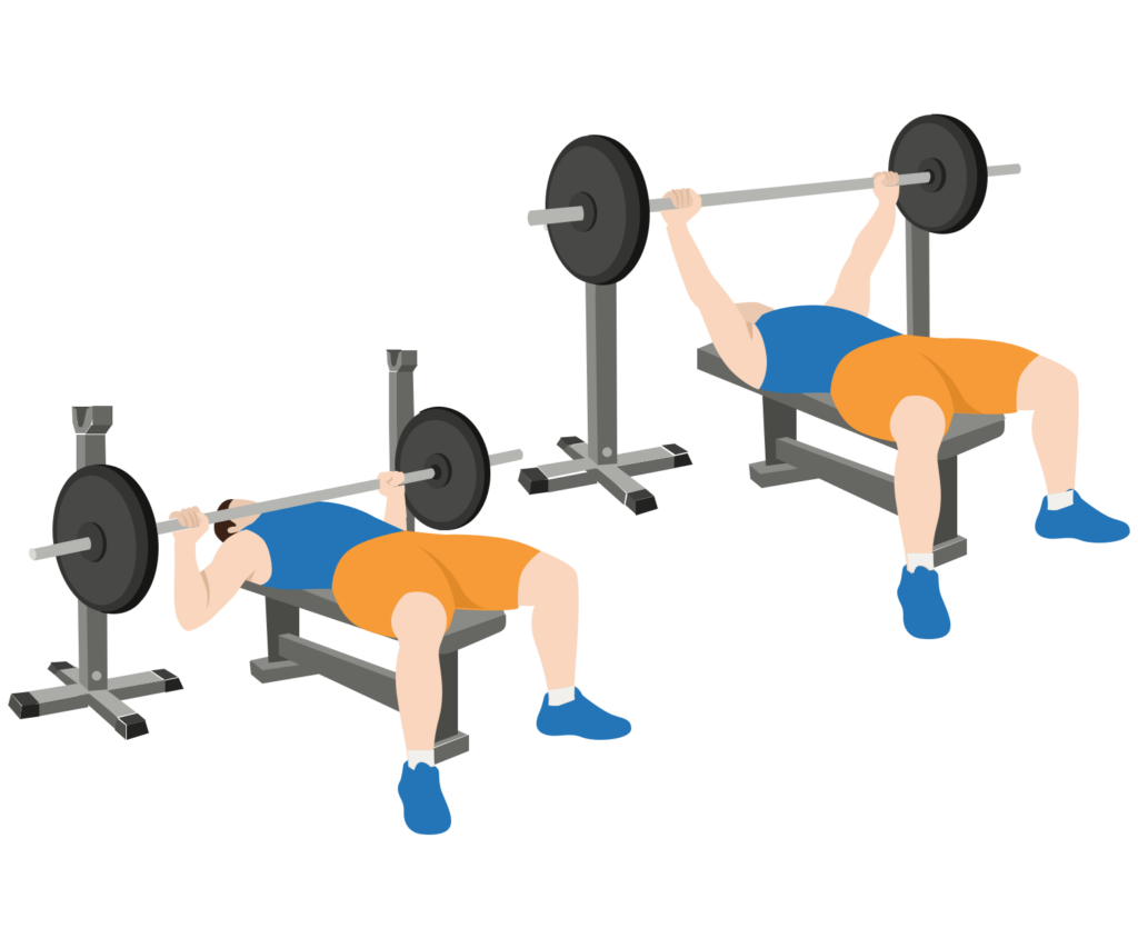 How to Do a Bench Press - 5 Variations - Illustrated Guide - Gym Geek