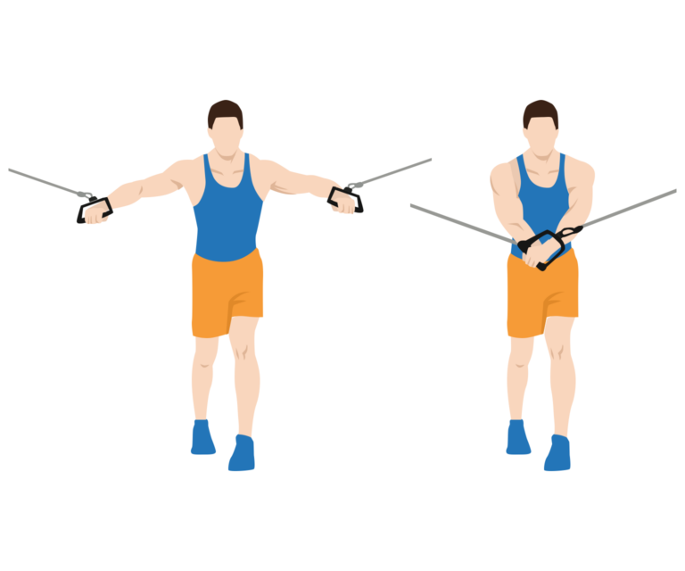 10 Chest Fly Variations - How to Do a Chest Fly - Illustrated Guide ...