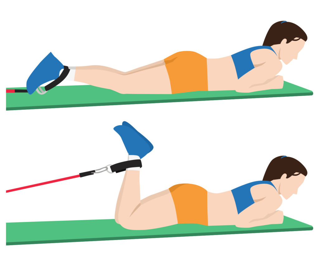 How to Do a Leg Curl - 9 Variations - Illustrated Guide - Gym Geek