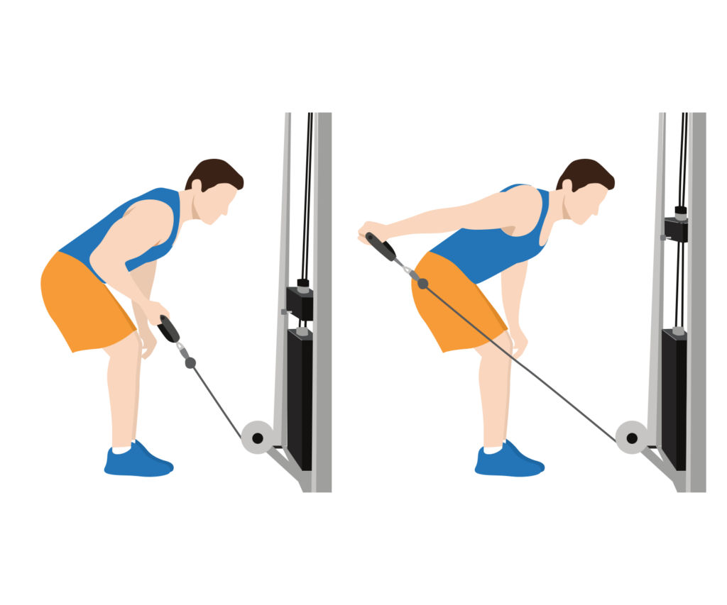 How to Do a Tricep Kickback - 7 Variations - Illustrated Guide - Gym Geek