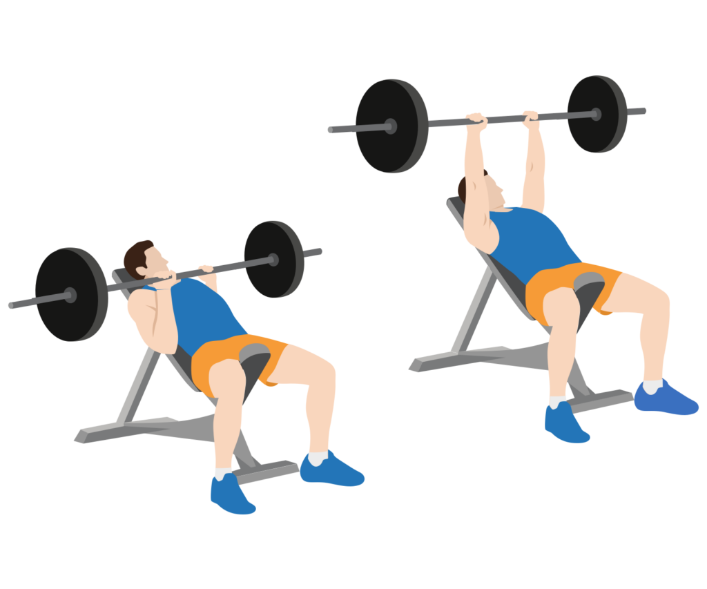 How to Do a Bench Press - 5 Variations - Illustrated Guide - Gym Geek
