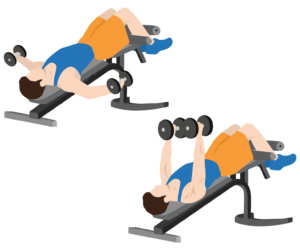 10 Chest Fly Variations - How to Do a Chest Fly - Illustrated Guide ...