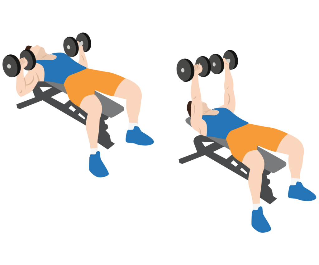 How to Do a Bench Press - 5 Variations - Illustrated Guide - Gym Geek