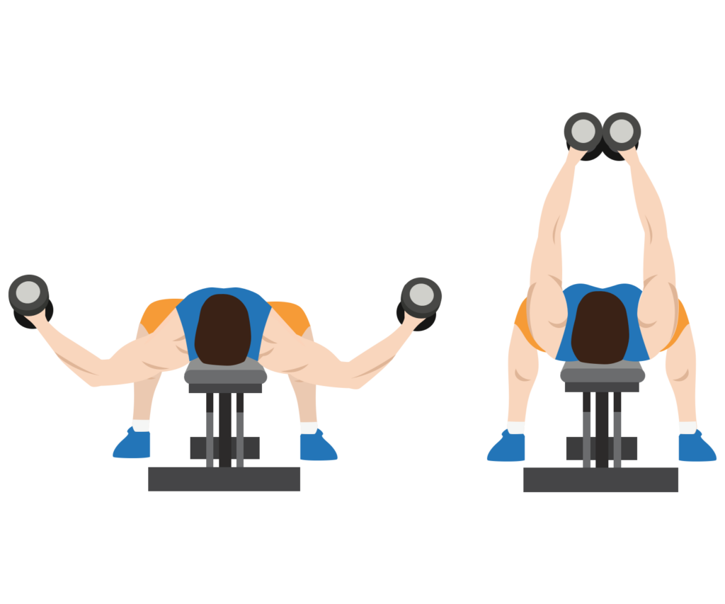 10 Chest Fly Variations - How to Do a Chest Fly - Illustrated Guide ...