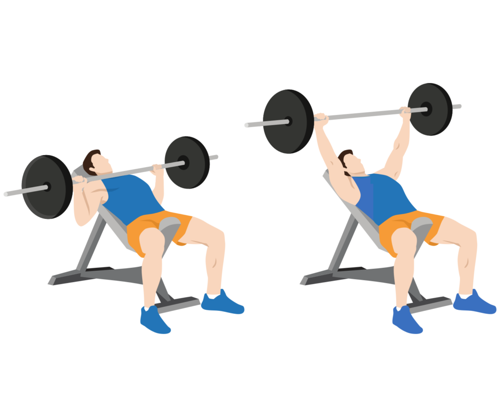 How to Do a Bench Press - 5 Variations - Illustrated Guide - Gym Geek