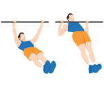 How to Do an Inverted Row (6 Variations) - Illustrated Guide - Gym Geek