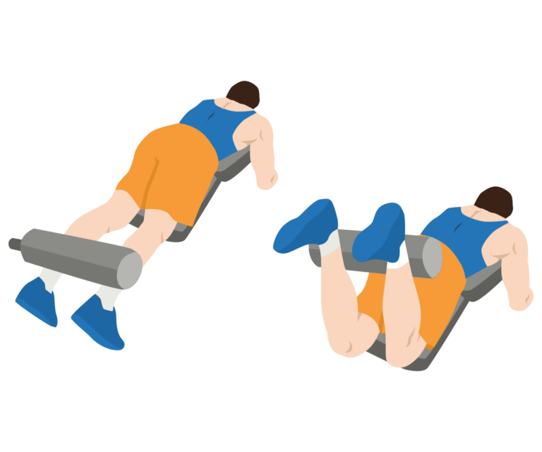 How to Do a Leg Curl - 9 Variations - Illustrated Guide - Gym Geek