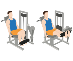 How to Do Leg Extensions (5 Variations) - Illustrated Guide - Gym Geek