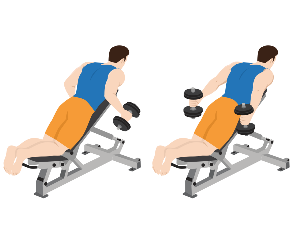 How to Do a Tricep Kickback - 7 Variations - Illustrated Guide - Gym Geek