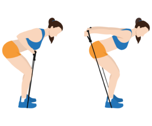 How to Do a Tricep Kickback - 7 Variations - Illustrated Guide - Gym Geek