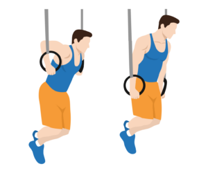 8 Tricep Dip Variations - How to Do a Tricep Dip - Illustrated Guide ...