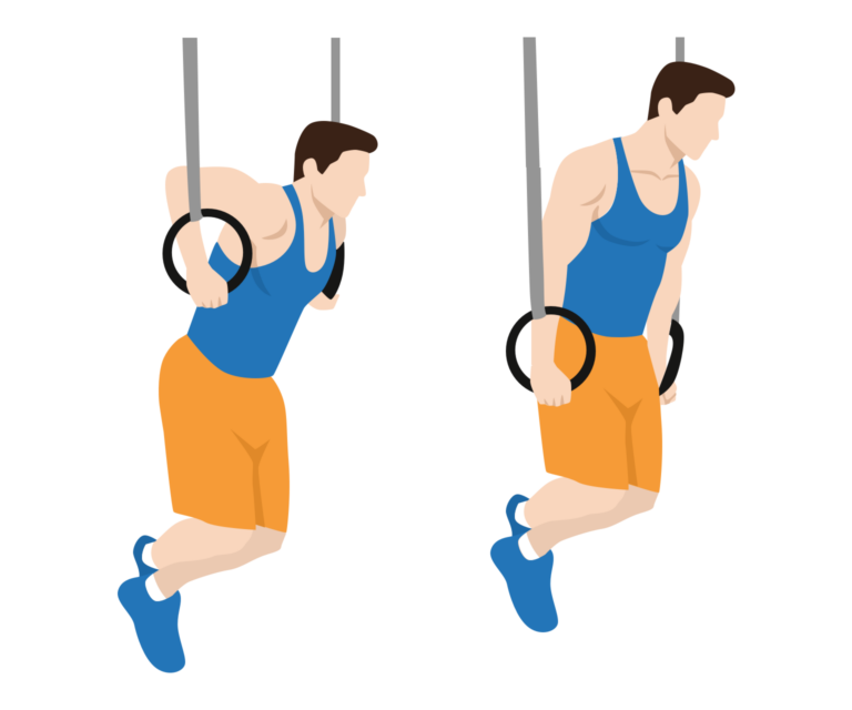 8 Tricep Dip Variations - How to Do a Tricep Dip - Illustrated Guide ...