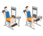 How to Do Leg Extensions (5 Variations) - Illustrated Guide - Gym Geek