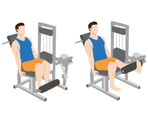 How to Do Leg Extensions (5 Variations) - Illustrated Guide - Gym Geek
