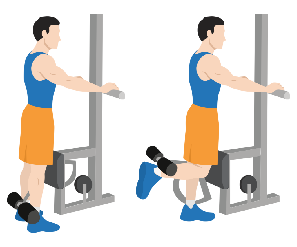 How to Do a Leg Curl - 9 Variations - Illustrated Guide - Gym Geek