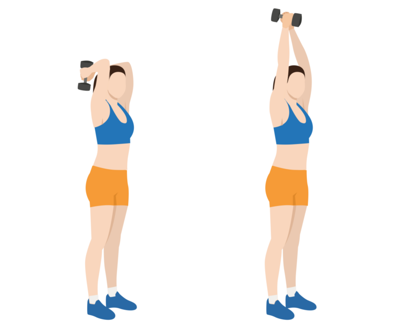 Arm Day Workout - Biceps and Triceps Routine - Gym Geek