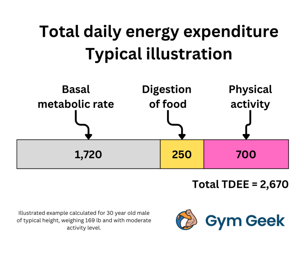 Adaptive Tdee Calculator Spreadsheet Statistical Model Gym Geek